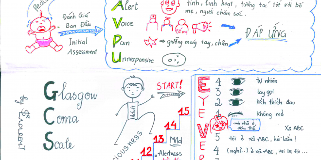 [LỜ SỜ A CA ĐÊ MY] GCS! vì sao bạn phải quan tâm? › Y khoa