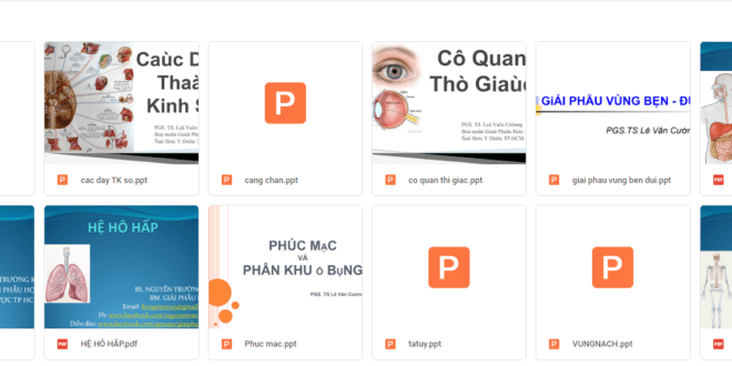 [Tài liệu] Bài giảng Y HCM › Y khoa