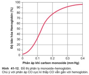 [Sinh lí Guyton số 41] Sự vận chuyển O2 và CO2 trong máu và mô kẽ › Y khoa
