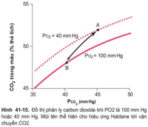 [Sinh lí Guyton số 41] Sự vận chuyển O2 và CO2 trong máu và mô kẽ › Y khoa