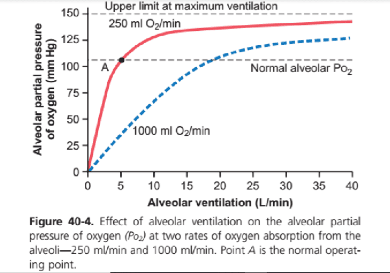 [Sinh Lí Guyton số 40] Nguyên tắc của sự trao đổi khí; Khuếch tán của ...