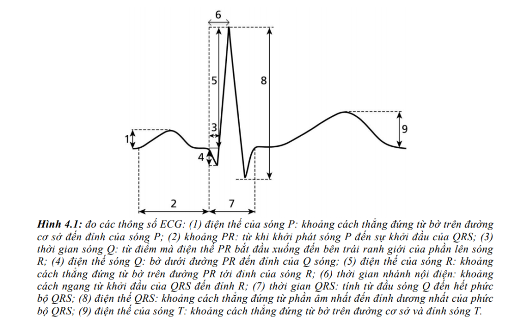 [ECG Số 4] Phân tích chi tiết về ECG › Y khoa