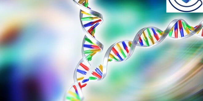 [Mindmaps] Sinh Học Campbell (P4) _ Quá trình nhân đôi DNA › Y khoa