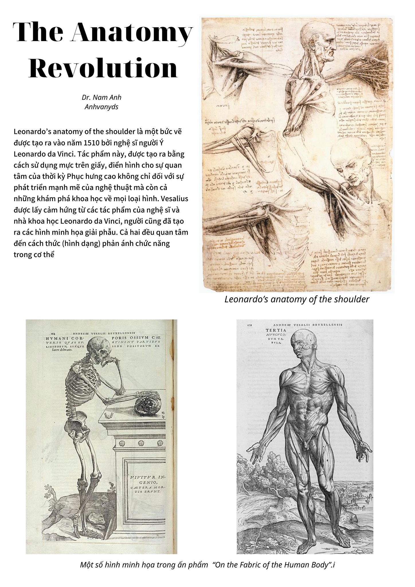 [Chia sẻ] The Anatomy Revolution › Y khoa