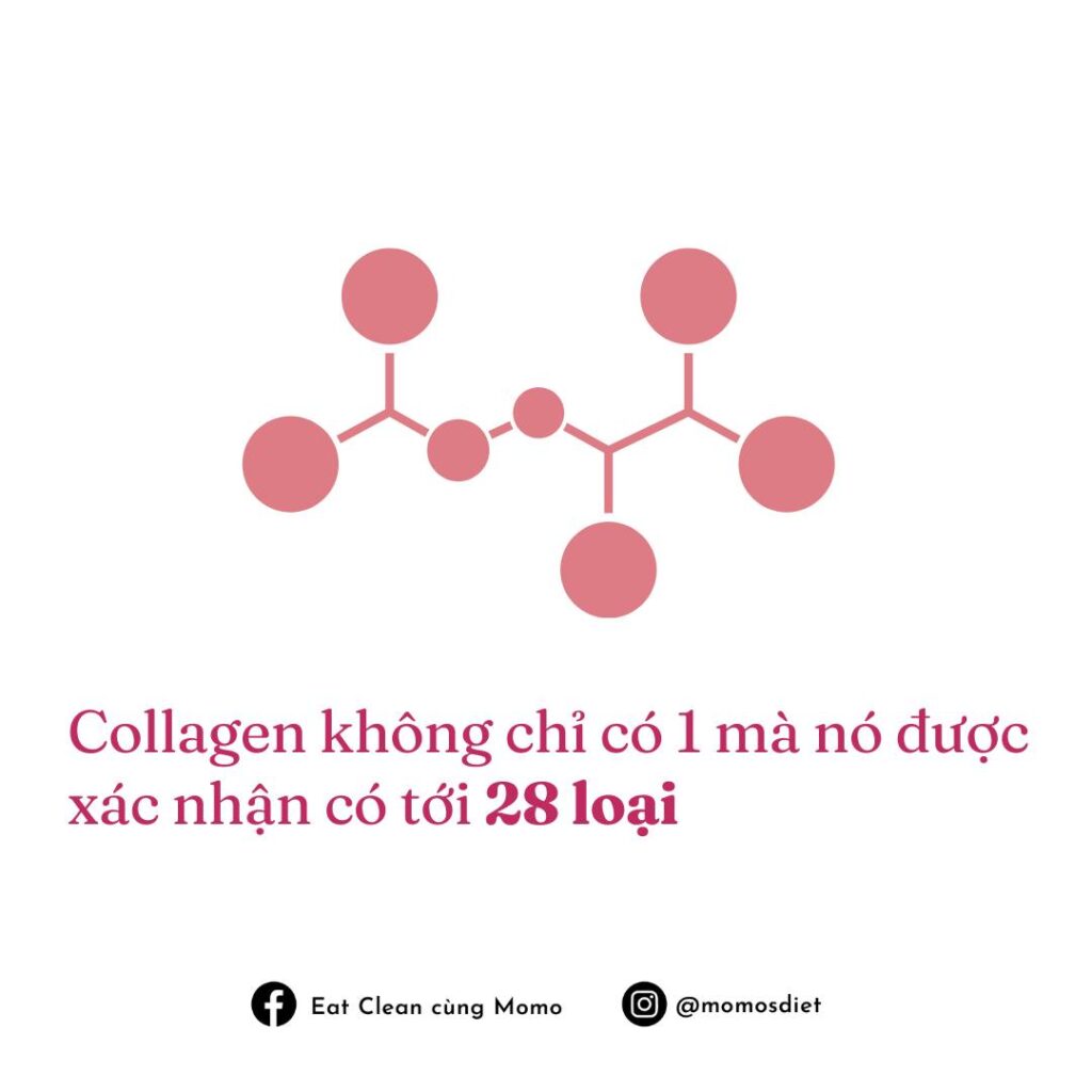 [Chia sẻ] 5 sự thật về Collagen mà có thể bạn chưa biết? › Y khoa
