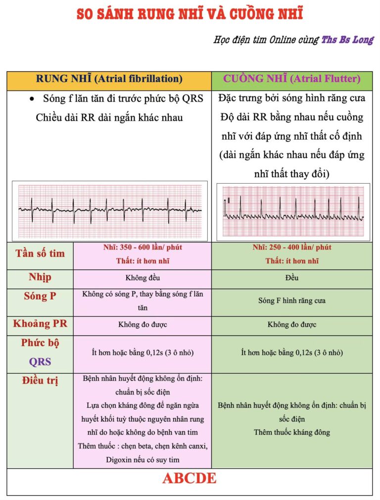 𝚃Ó𝙼 𝚃Ắ𝚃 𝙿𝙷Â𝙽 𝙱𝙸Ệ𝚃 𝙴𝙲𝙶 𝚁𝚄𝙽𝙶 𝙽𝙷Ĩ 𝚅À 𝙲𝚄Ồ𝙽𝙶 𝙽𝙷Ĩ, 𝙷ƯỚ𝙽𝙶 Đ𝙸Ề𝚄 𝚃𝚁Ị 𝙲Ả 𝟸 𝚃𝙷𝙴𝙾 𝟻 ...