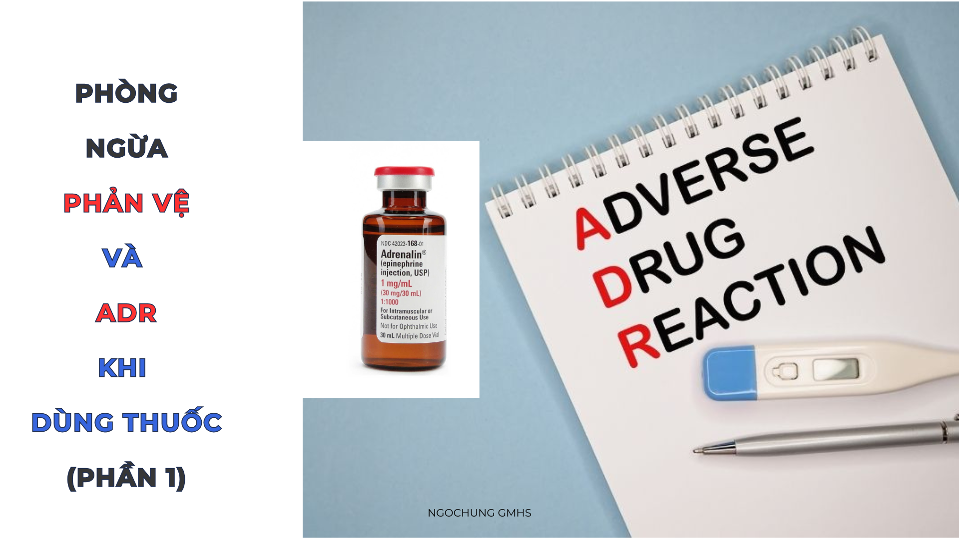 Phòng ngừa Phản Vệ và ADR (phần 1) › Y khoa